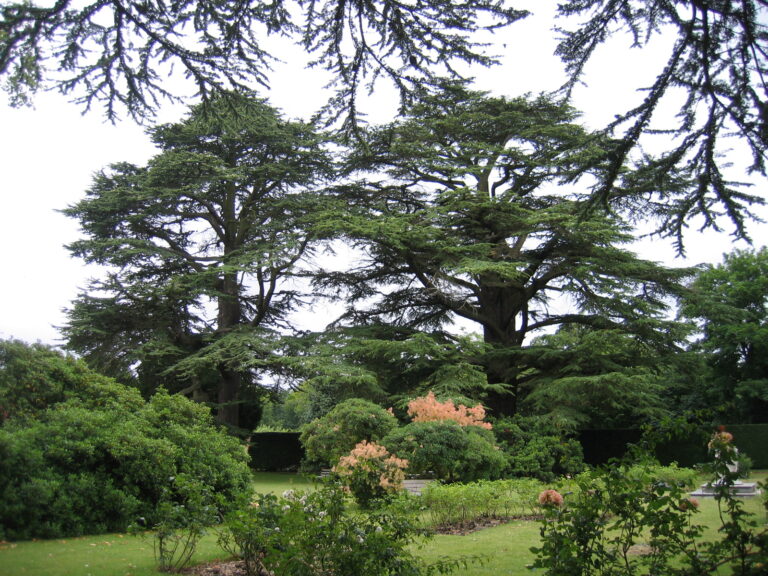 Kentwell Hall | Suffolk's Historic Gardens & Parks Inventory